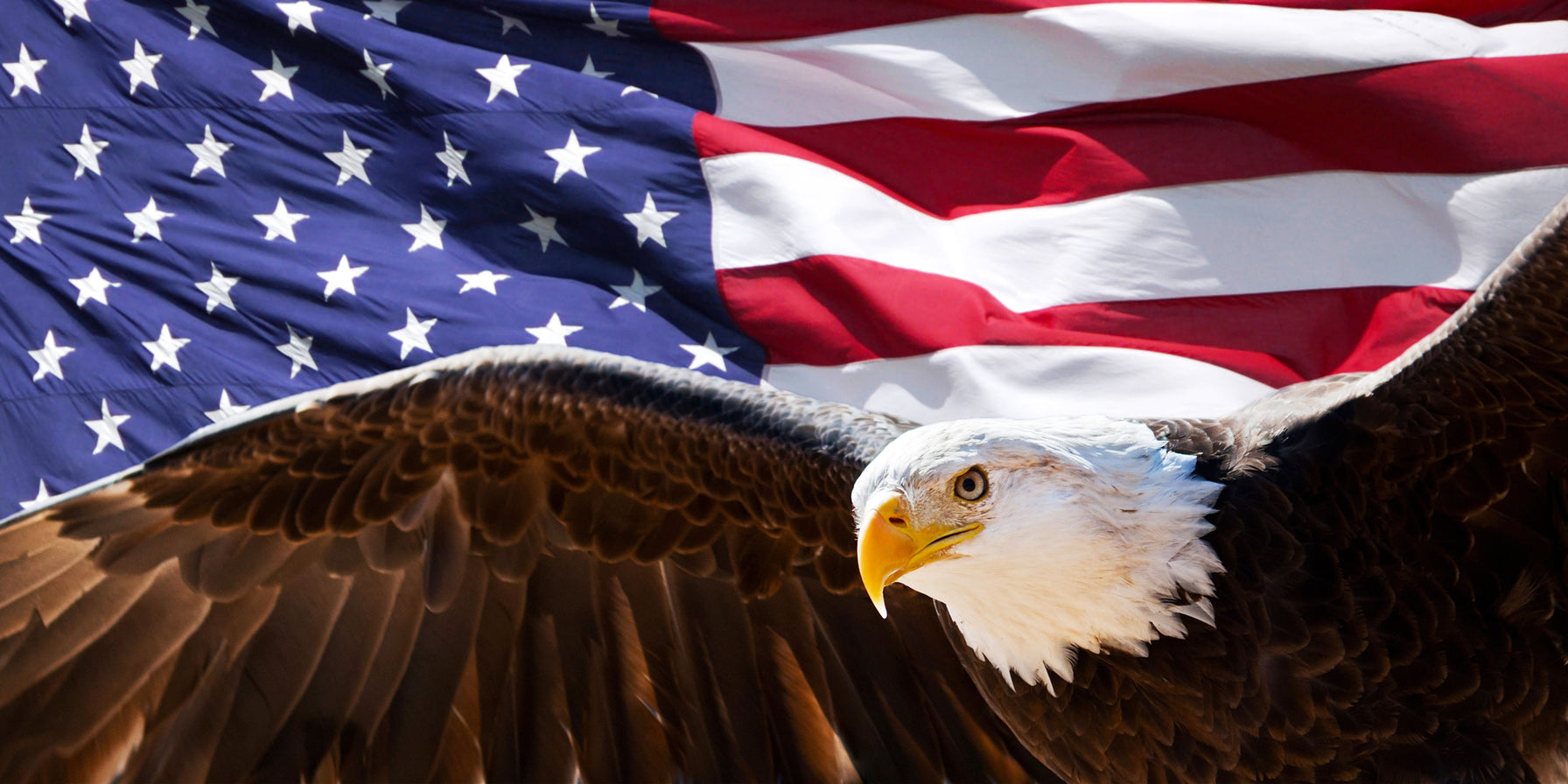 Contact Us - USA Flag Co.