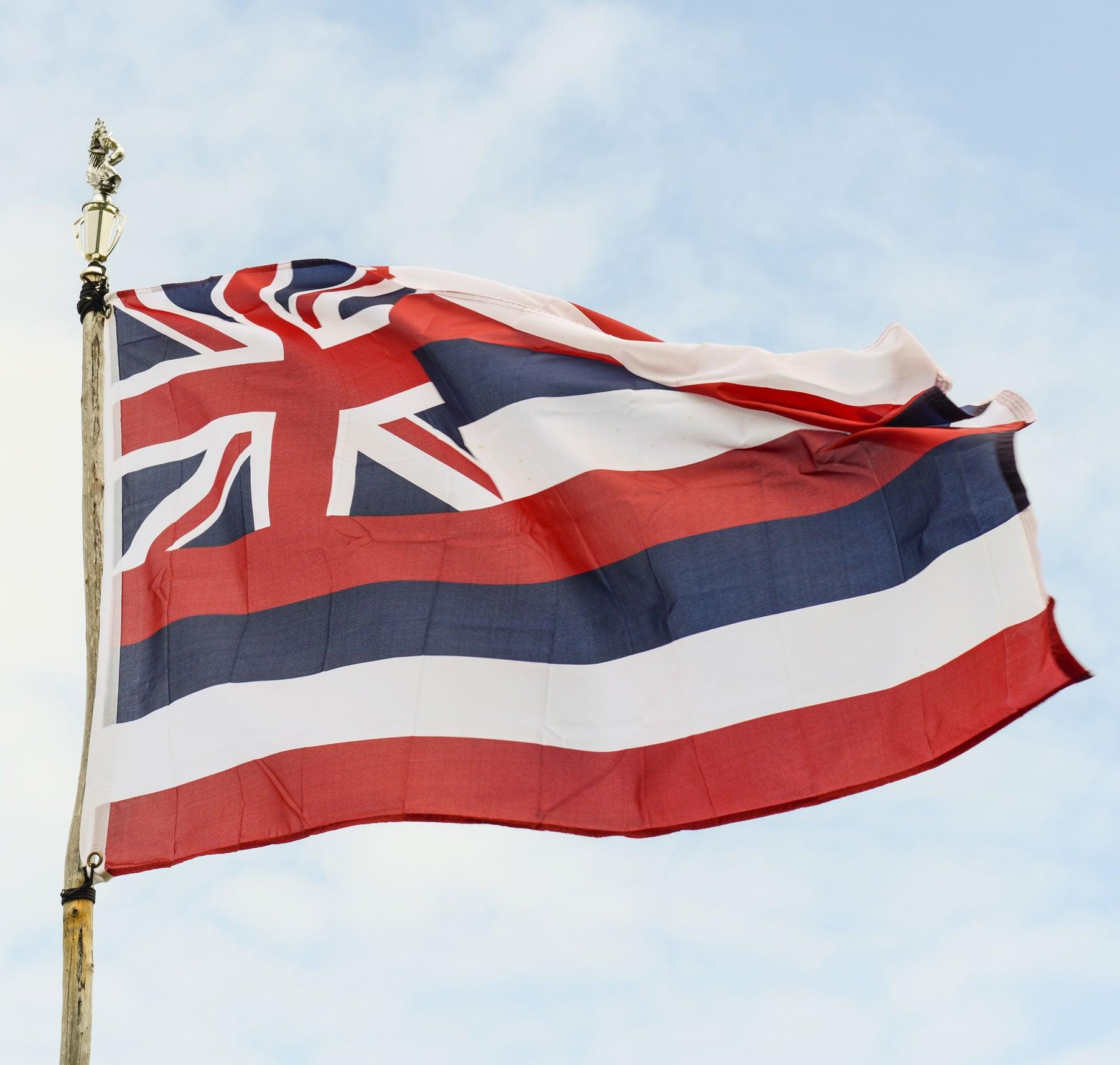 Hawaii Flag - Outdoor State Flags (Made in the USA) by USA Flag Co.